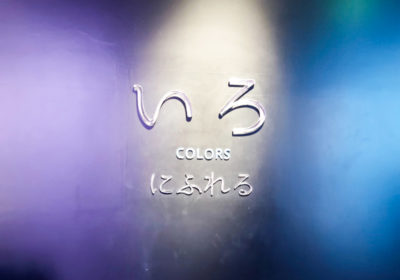 Osaka Prefecture's Aquarium—NIFREL | Maido